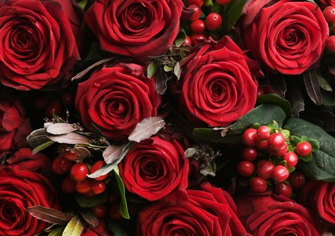 roses-rouges - Ann'fleurs